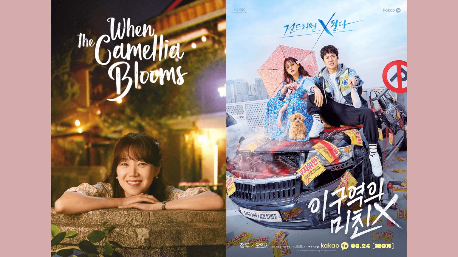 Is Mr. Plankton Kdrama Worth Watching? - KoreaFiz